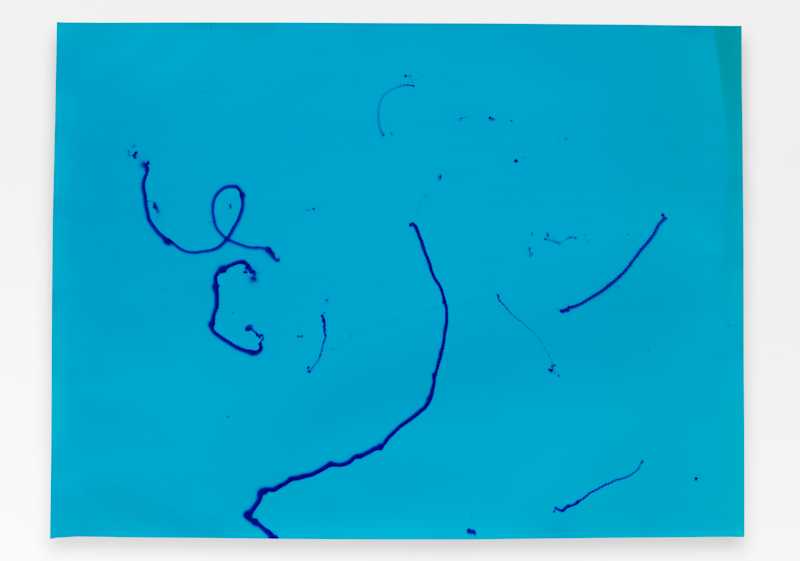 Daniel Kukla (b. 1983, USA)
