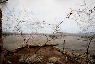 Daniel Kukla (b. 1983, USA)