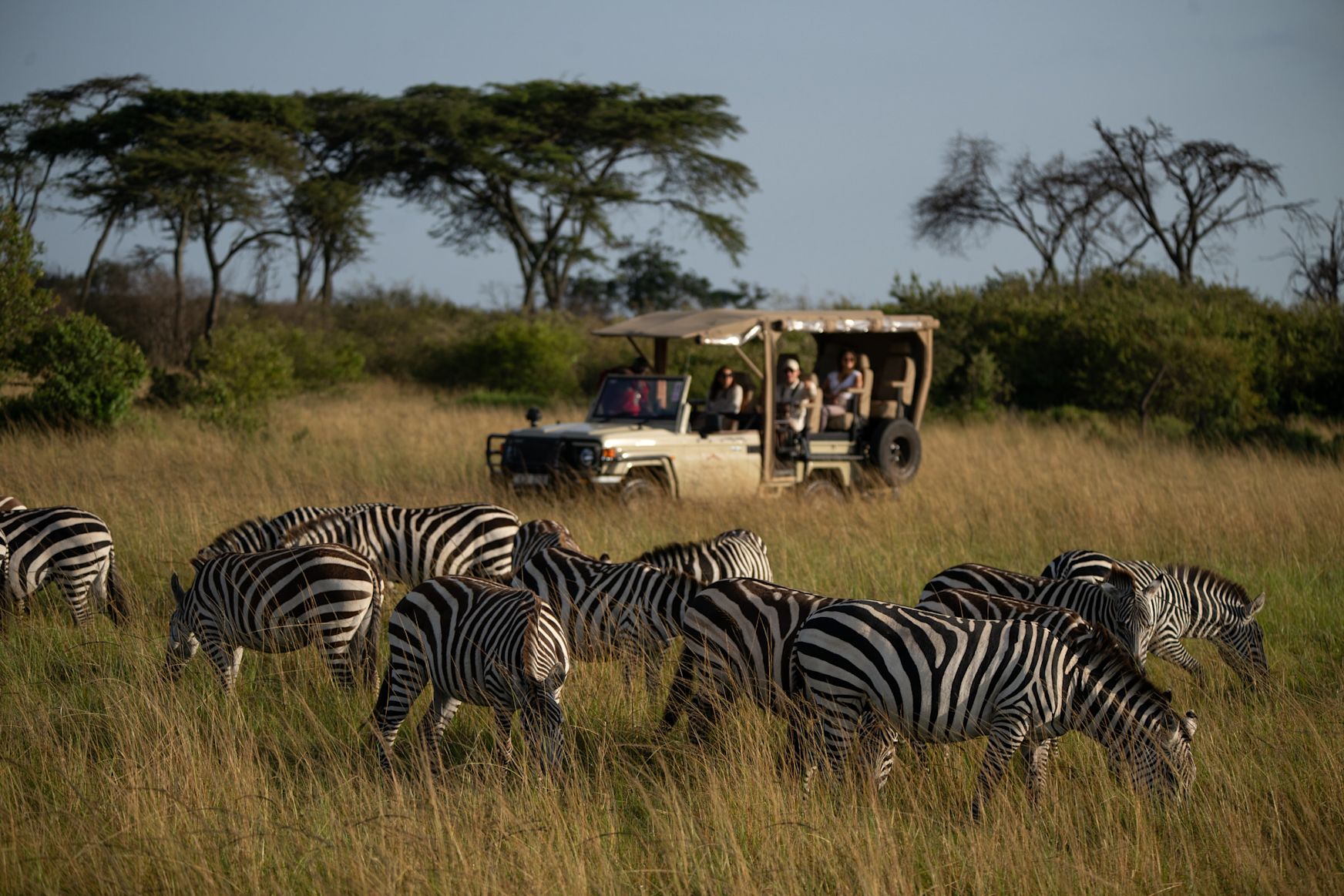 Discover Mahali Mzuri: Kenya’s redesigned safari camp where luxury ...