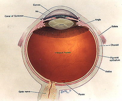Eye Diagram