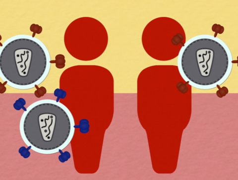Tracking HIV 'Superinfection' Between Partners