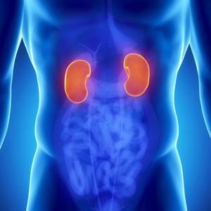 How PrEP Changes Kidney Function