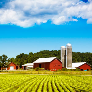 No Man Is an Island: Hepatitis C in Rural Southern Indiana, Part 1
