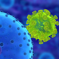 Viral Load Blips During Acute HIV Infection Predict Viral Rebound When ...