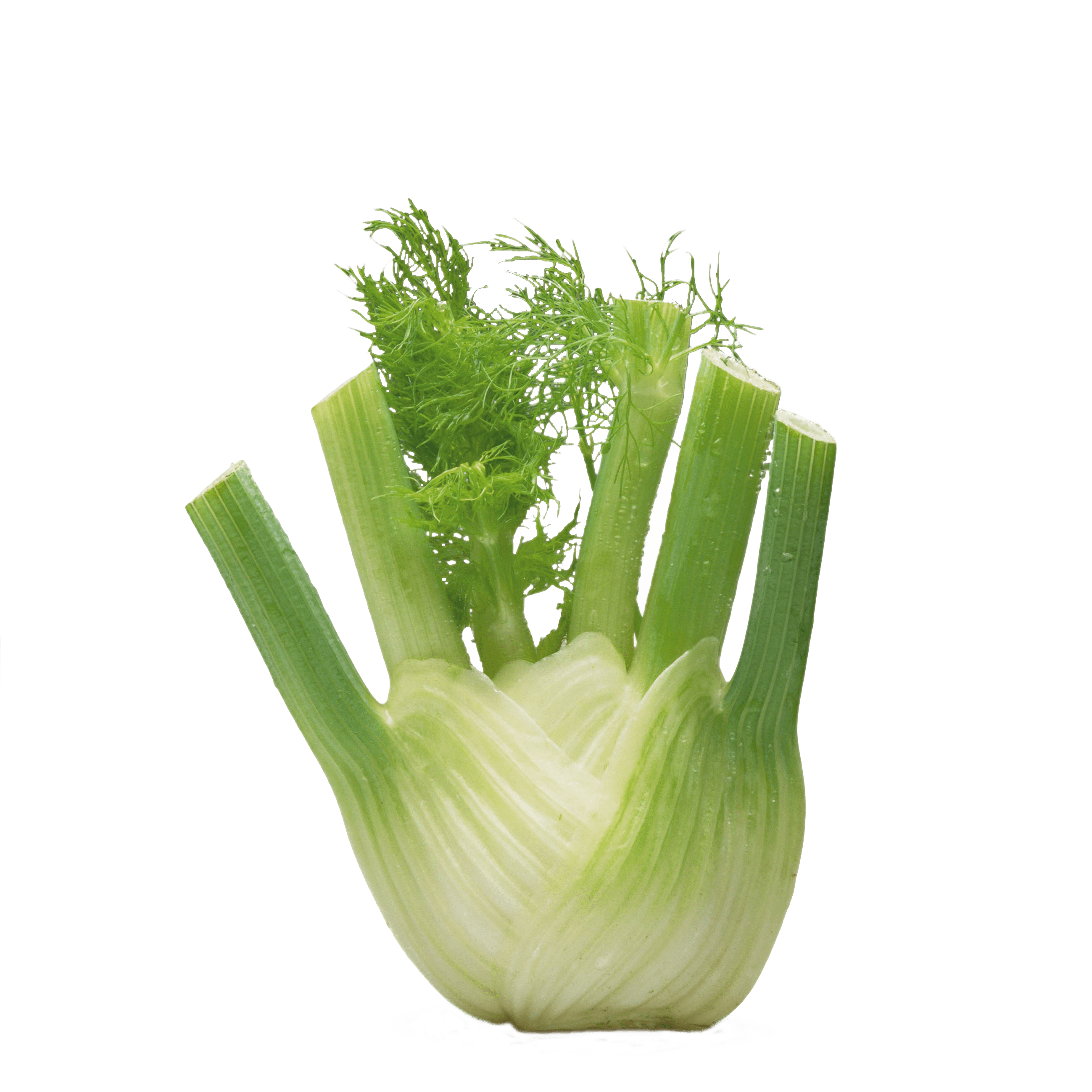 PLUS Venkel Per Krimp 1 st