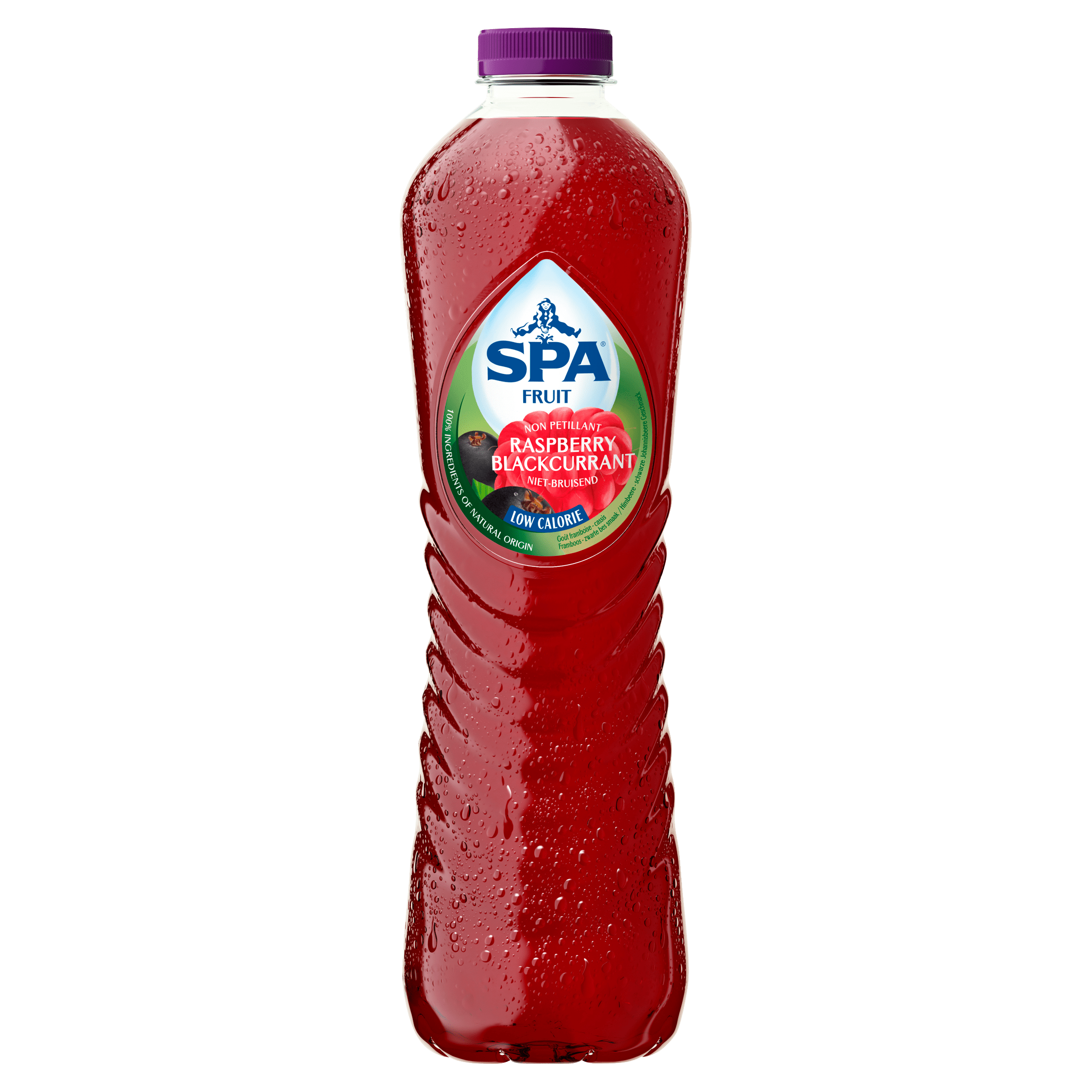 Spa Fruit still raspberry blackcurrant Per Fles 1250 ml