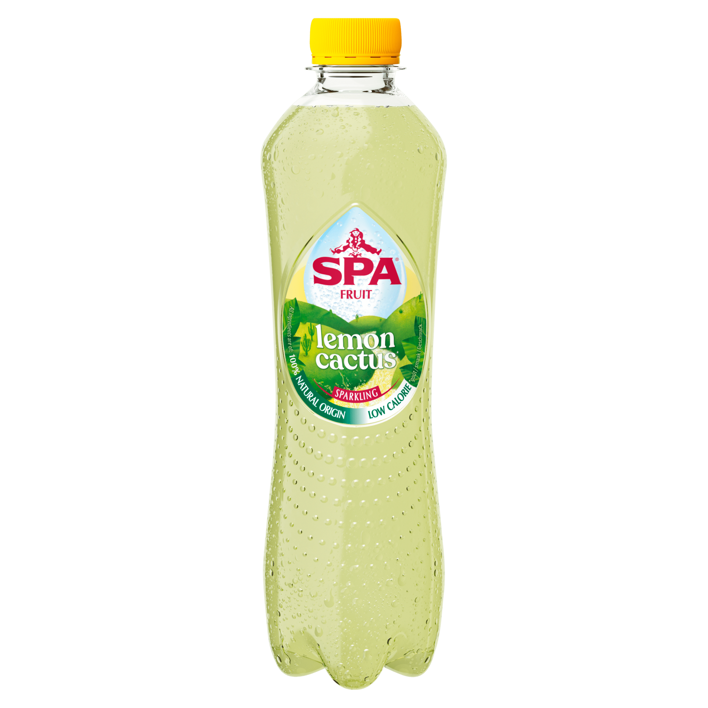 Spa Fruit sparkling lemon cactus Per Fles 400 ml