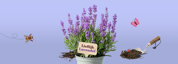 Plantjesplezier bij PLUS! | PLUS