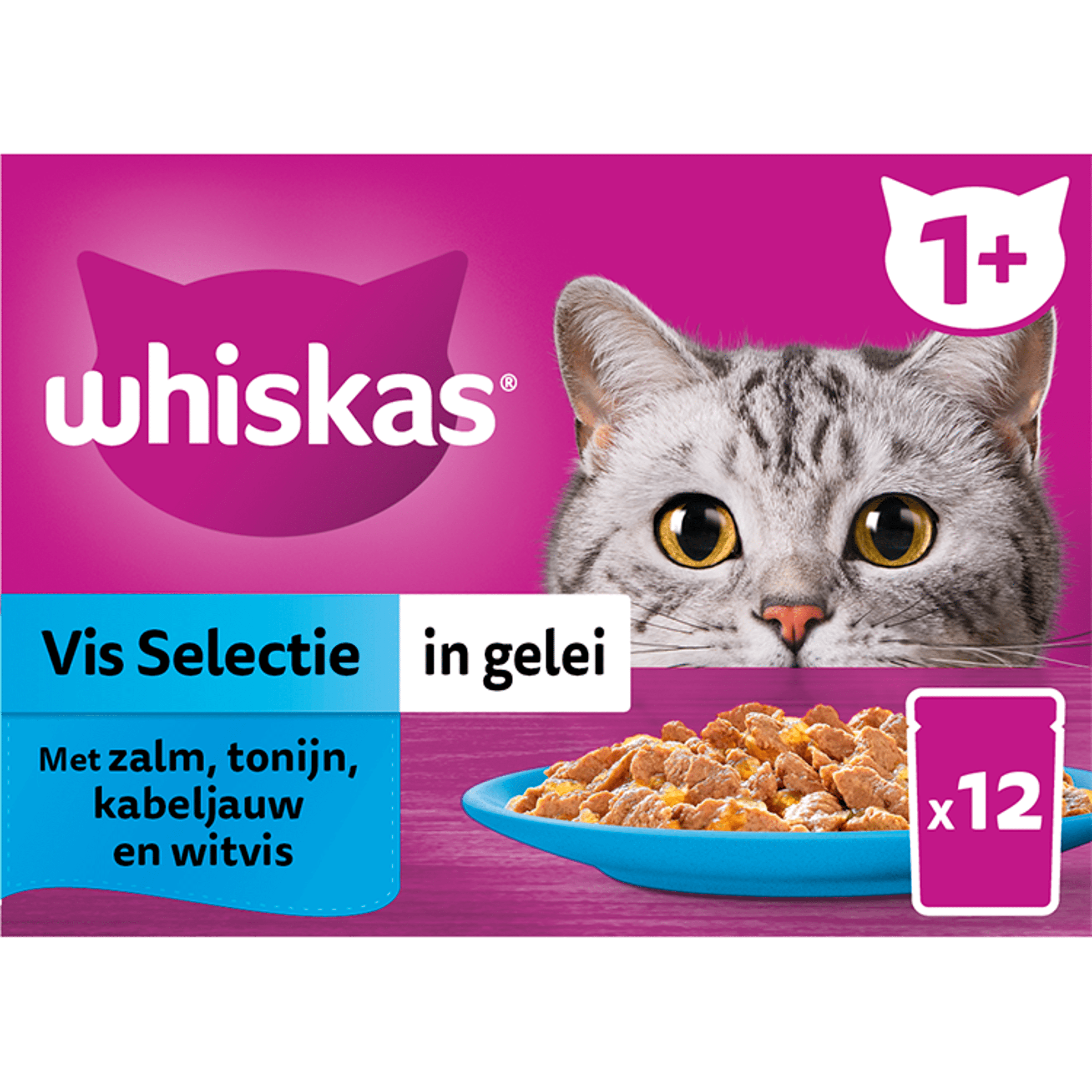Whiskas 1+ - Kattenvoer - Vis - gelei Per Doos 12 st