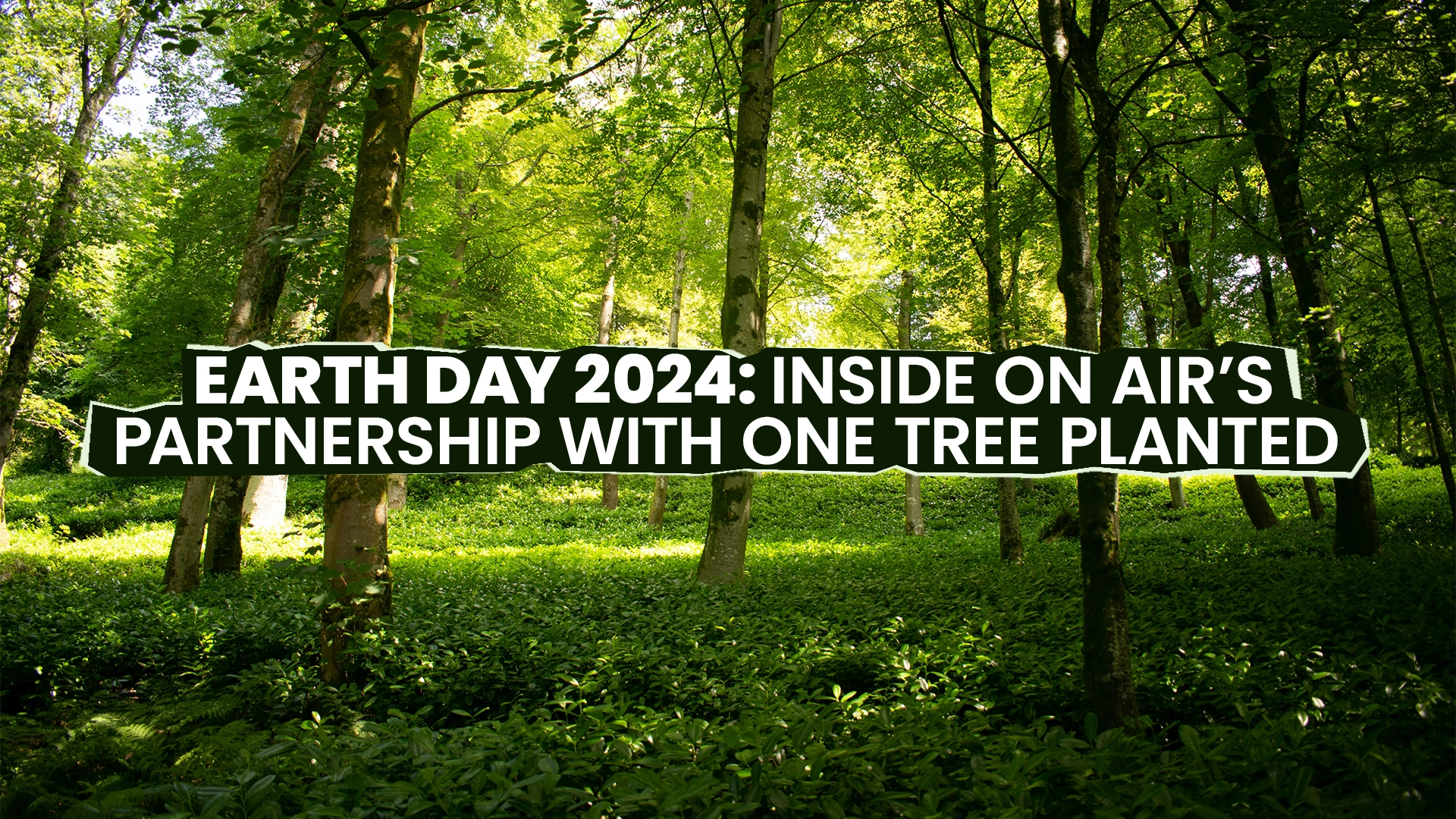 Earth Day 2024: Inside On Air’s Partnership with One Tree Planted