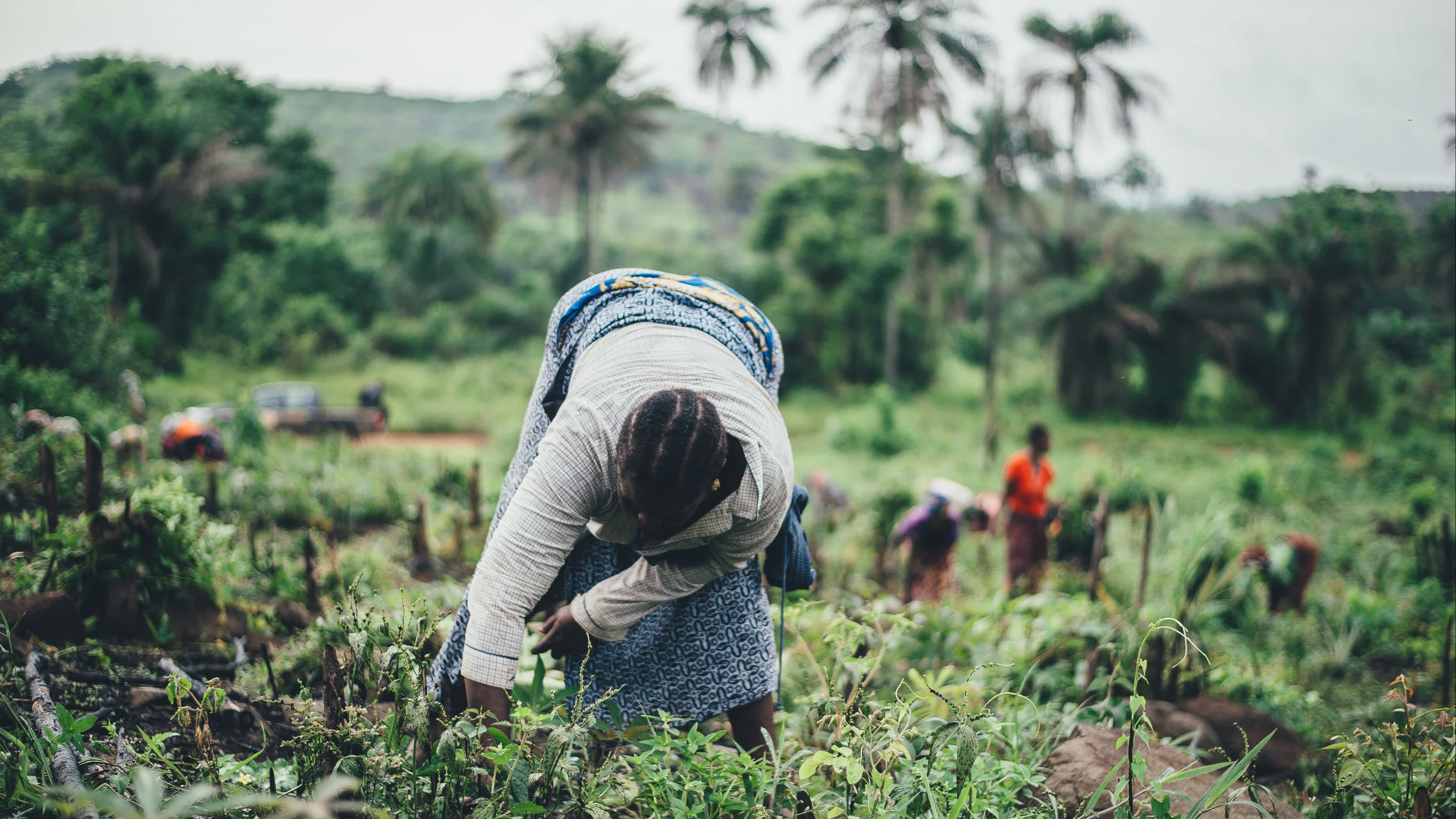 Frient - Zum Tag der Menschenrechte: Landraub in Afrika