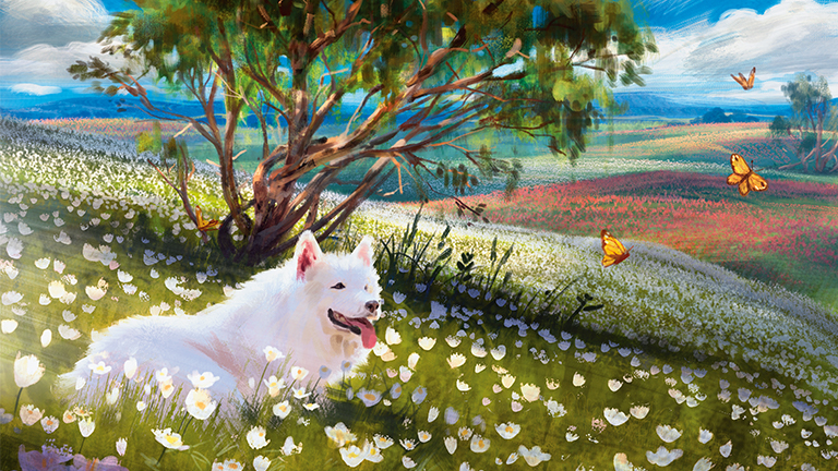 Jump into Jumpstart on MTG Arena | MAGIC: THE GATHERING