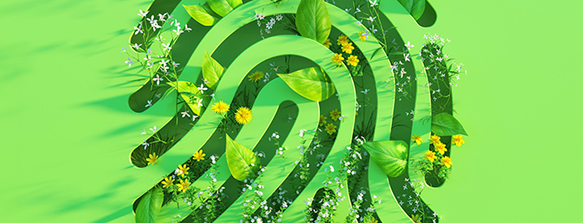 Navigating the Complex Landscape of Personalization | Ideas Exchange