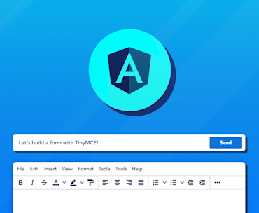 Add WYSIWYG editor to textarea on your website with TinyMCE