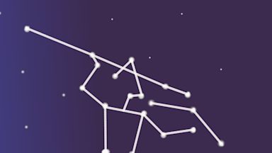 Most common plugin errors in TinyMCE and how to fix those | TinyMCE