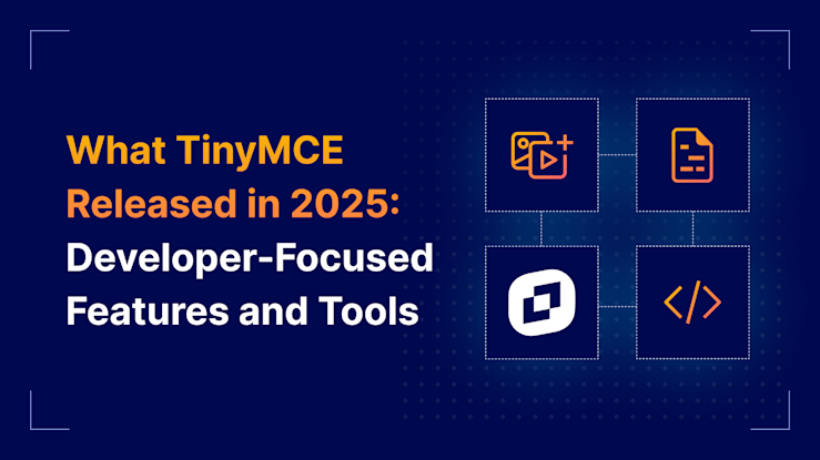 User input sanitization and validation | TinyMCE
