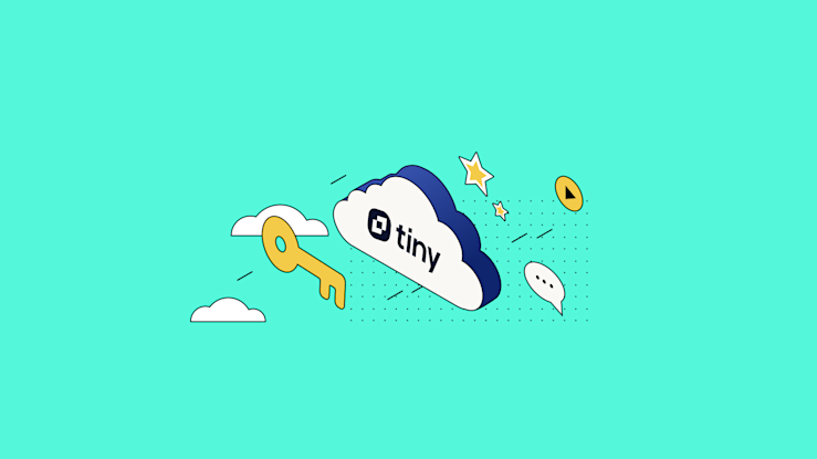 How to get and set textarea value in Javascript | TinyMCE