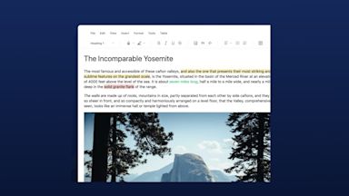 What is rich text editor? | TinyMCE
