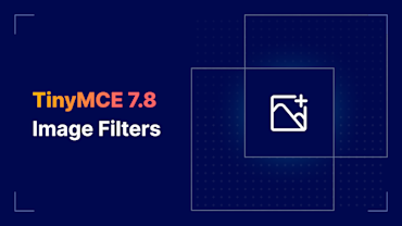 User input sanitization and validation | TinyMCE