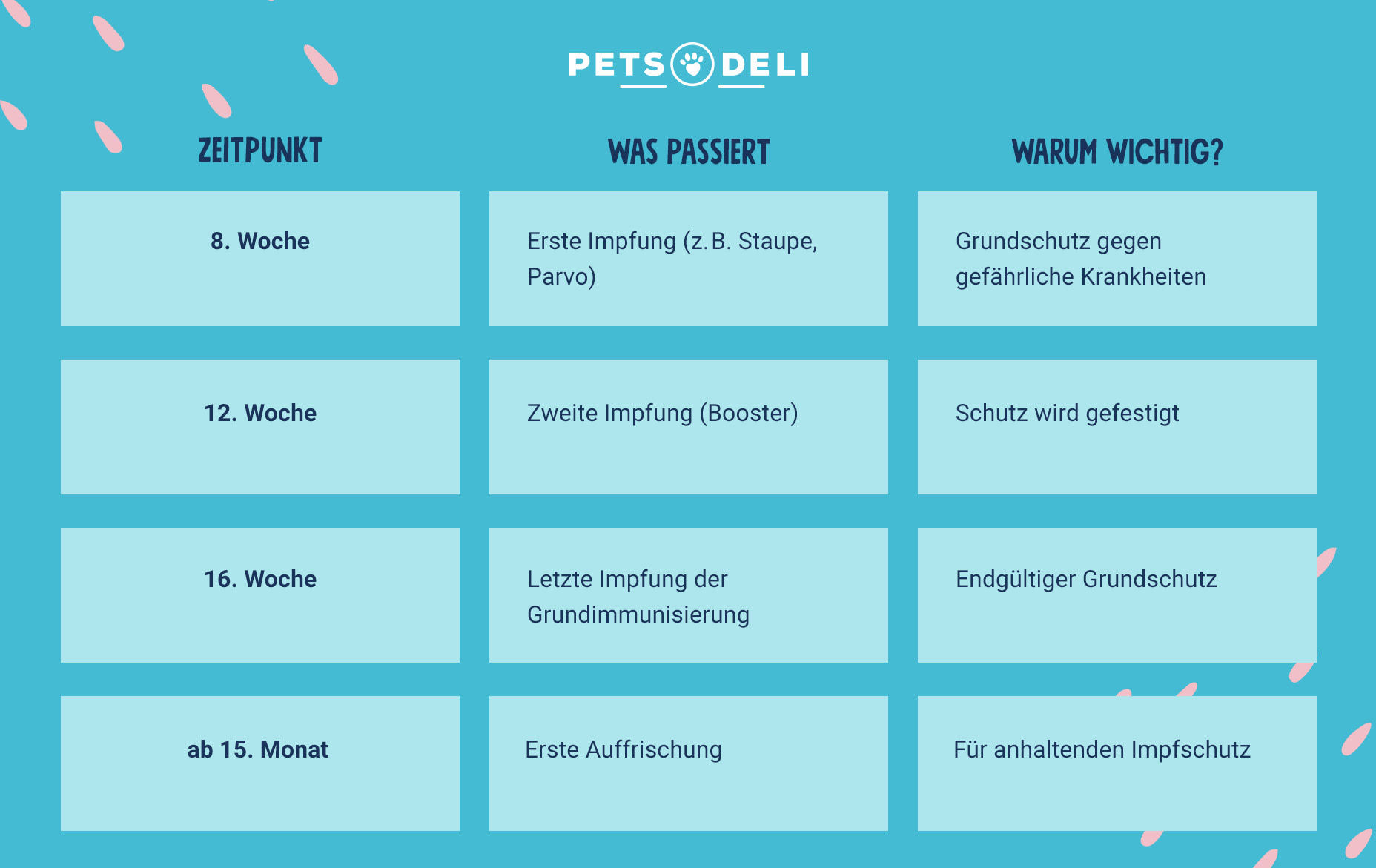 So bleibt dein Welpe gesund: Impfungen, Entwurmung & Co - Pets Deli