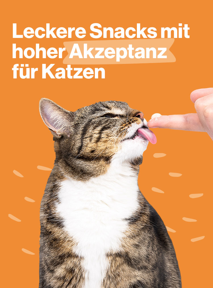 Snacks für Katzen - Pets Deli