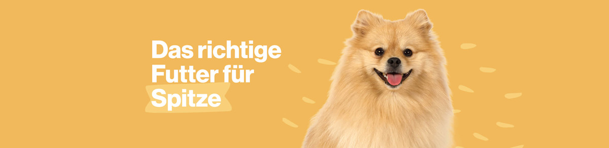 Leckeres Futter für Spitze - Pets Deli