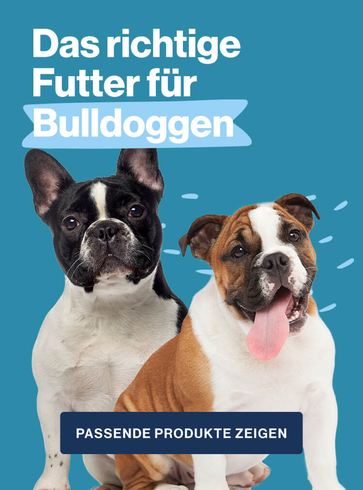 Leckeres Futter für Bulldoggen - Pets Deli