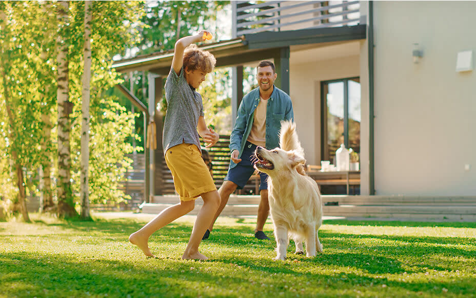 Top 8 Familien Hunderassen mit Kind - Pets Deli