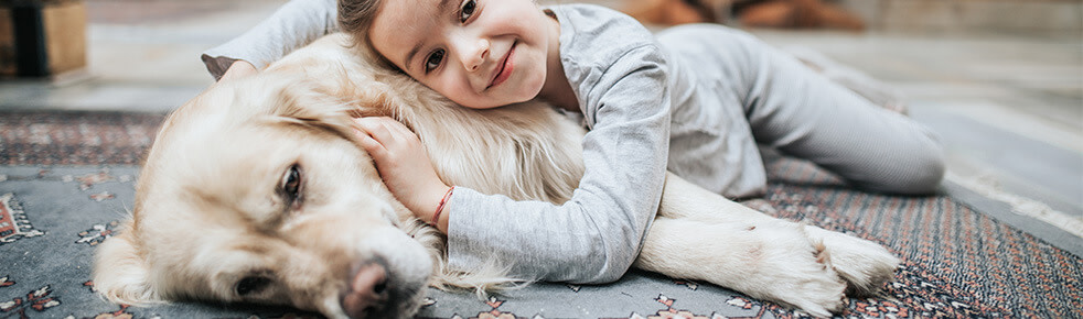 Unsere Top 12 Hunderassen für Kinder - Pets Deli