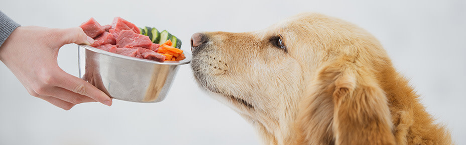 Hund richtig BARFen: Anleitung & Einstieg in die Rohfütterung - Pets Deli