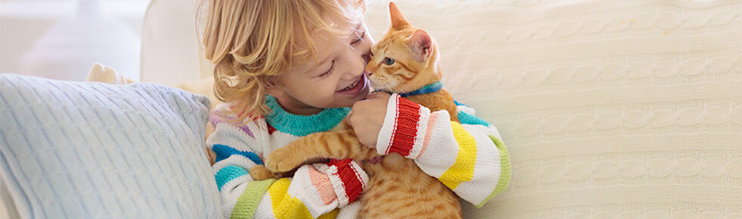 Das sind die besten Katzen für Kinder – mit Bildern & Infos - Pets Deli