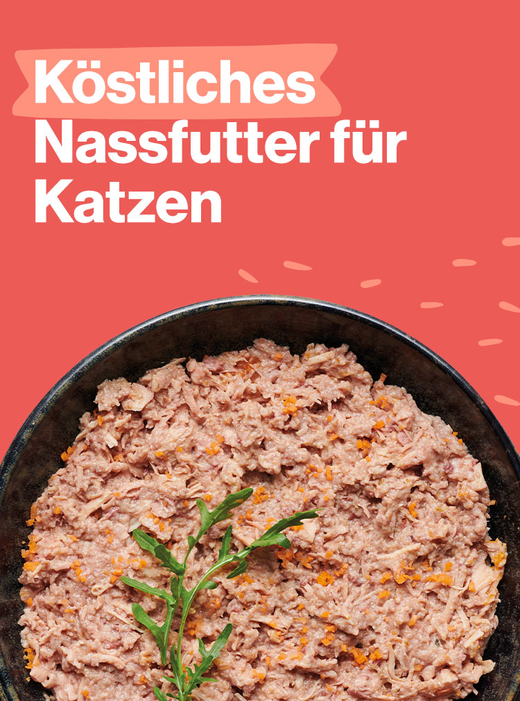 Nassfutter für Katzen - Pets Deli