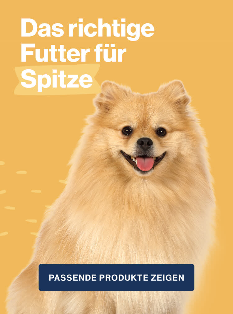 Leckeres Futter für Spitze - Pets Deli