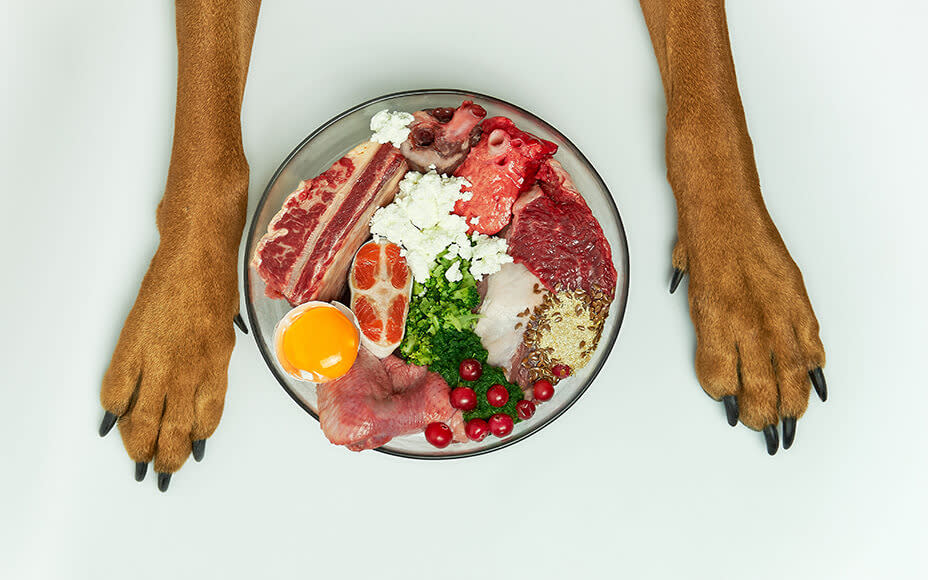 Hund richtig BARFen: Anleitung & Einstieg in die Rohfütterung - Pets Deli