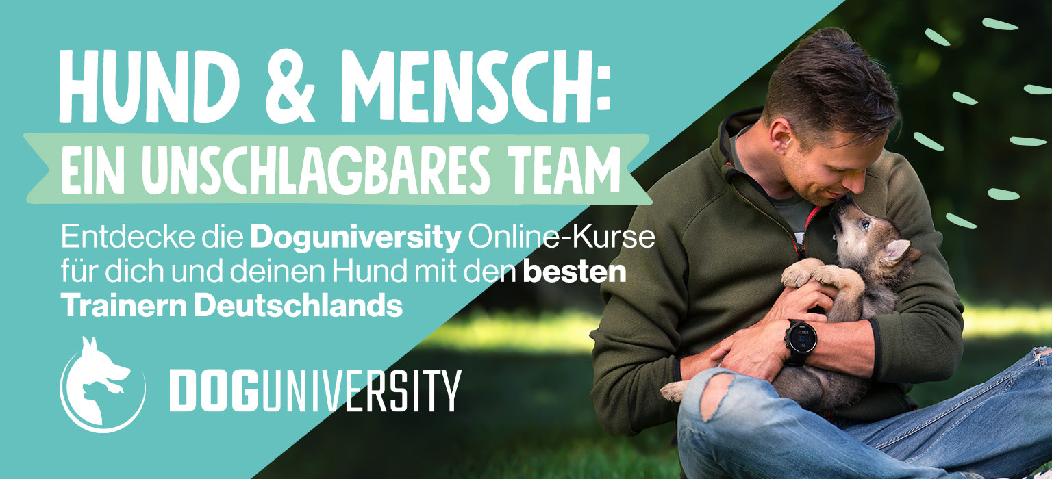 Unsere Probierpakete mit Doguniversity Probemonat - Pets Deli