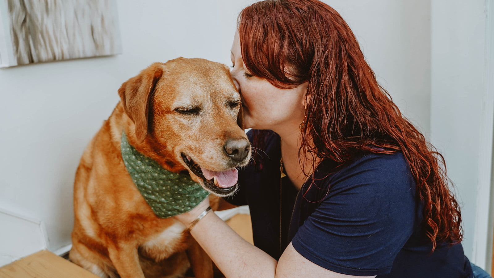 How to Show Your Dog You Love Them | Now Fresh