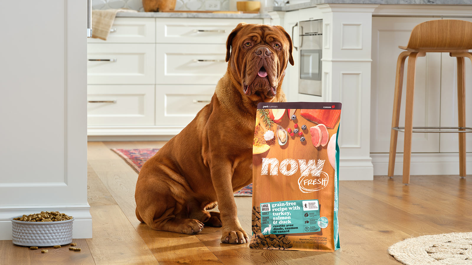 Grain-Free Large Breed Dog Food | Now Fresh