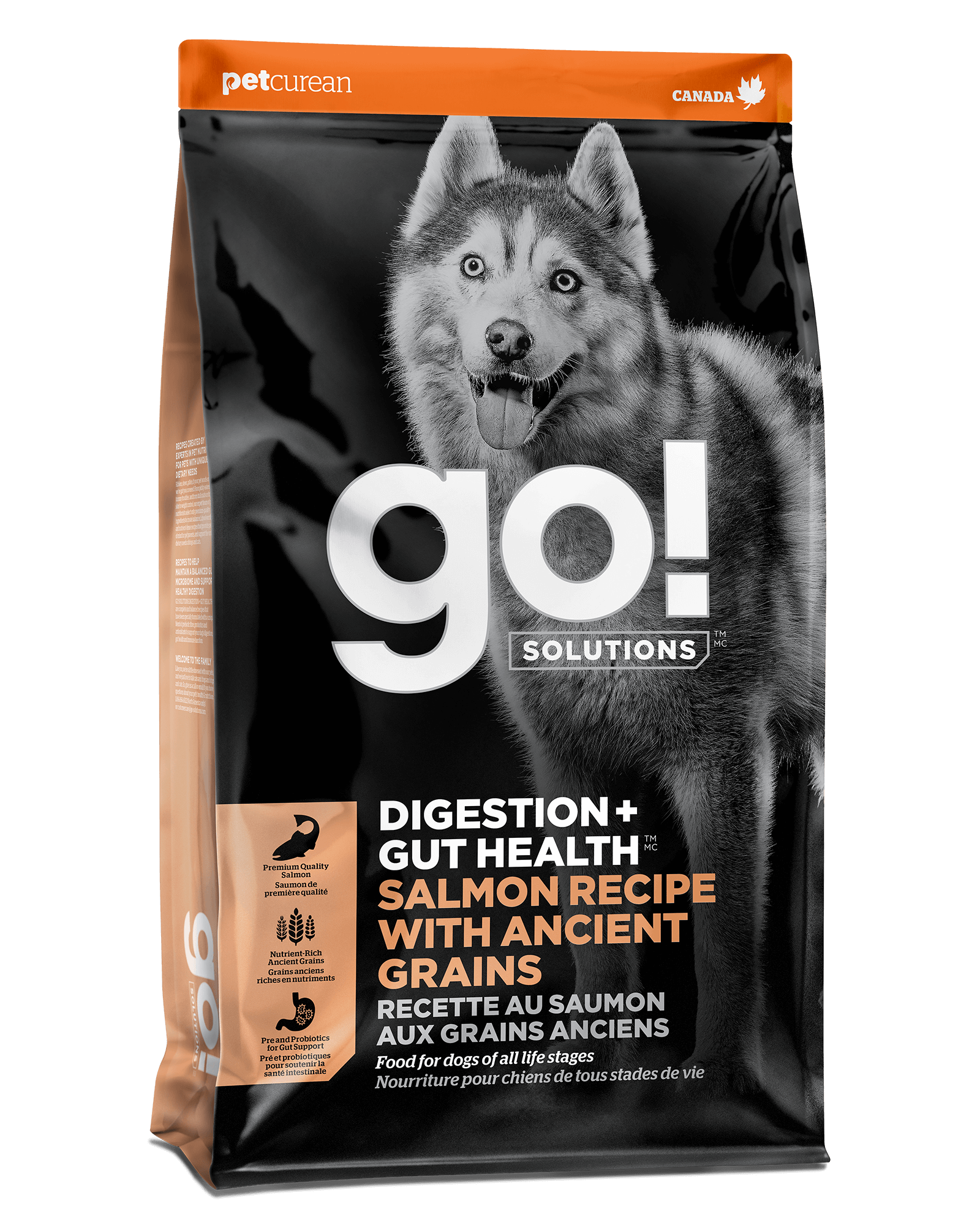 Digestion + Gut Health Chicken Dry Dog Food with Grains | Go! Solutions