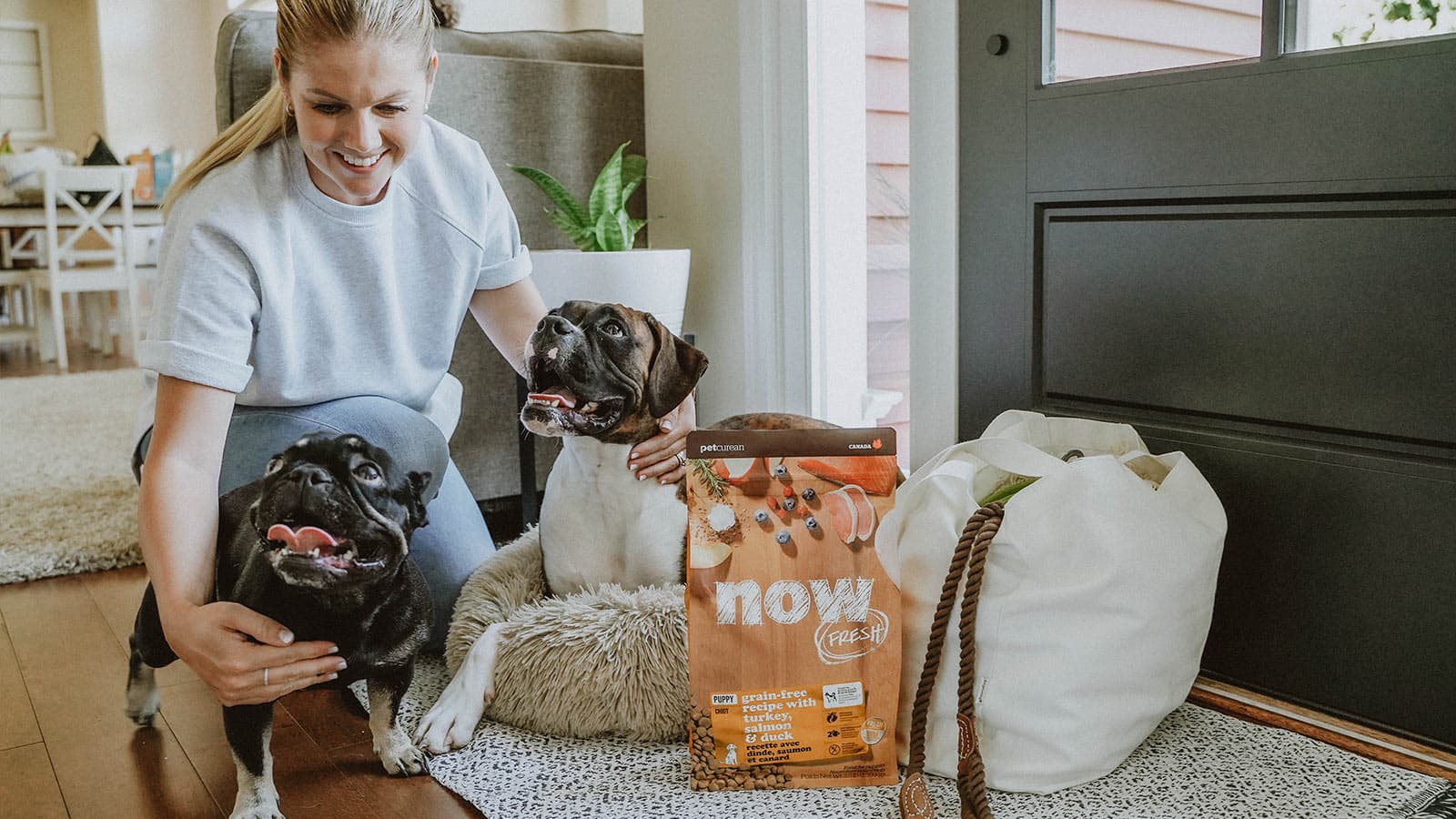 Ultimate Guide for Leaving Your Dog with a Pet Sitter | Now Fresh