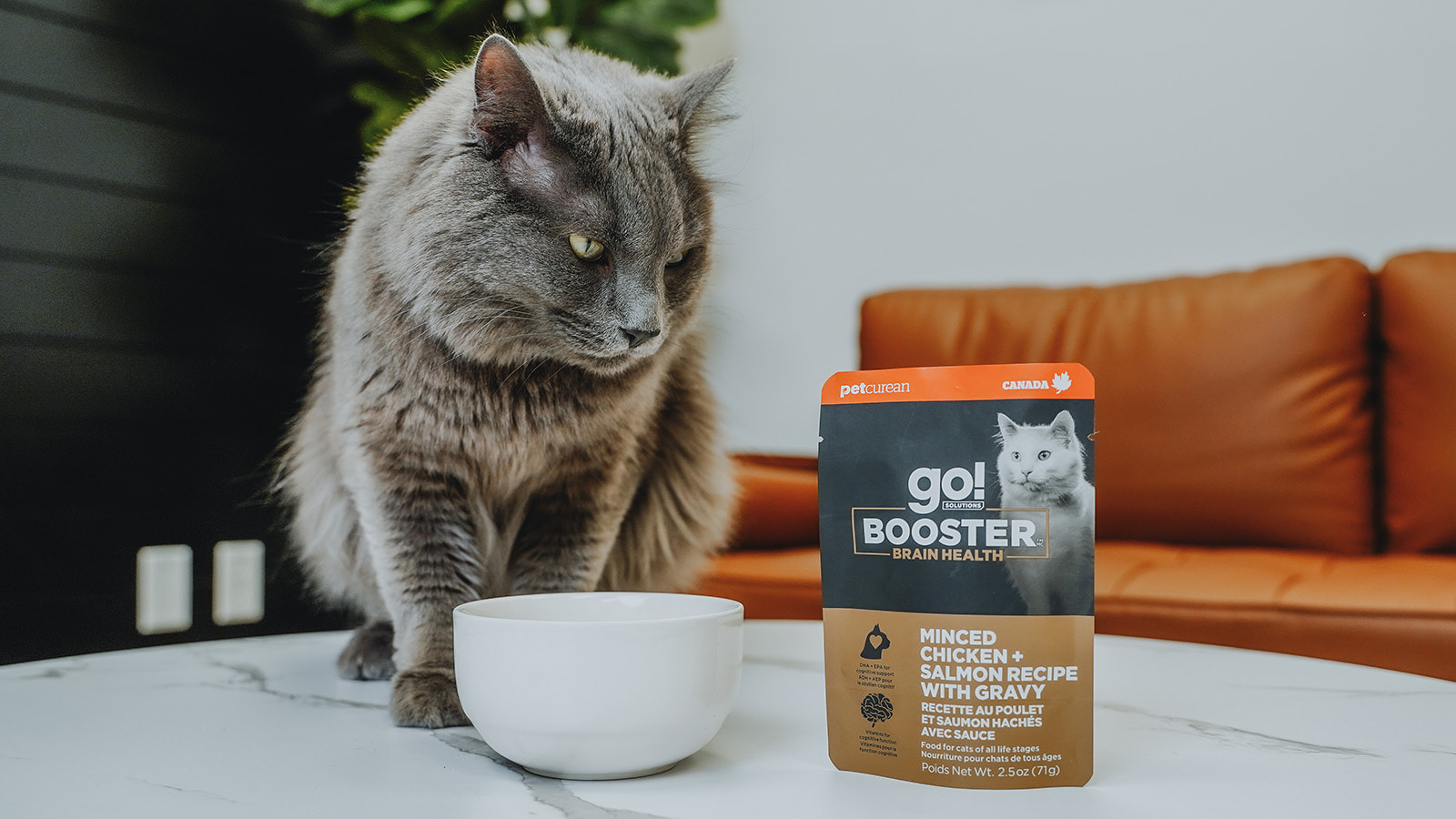 Brain Health Minced Chicken + Salmon with Gravy Cat Food Topper | Go ...