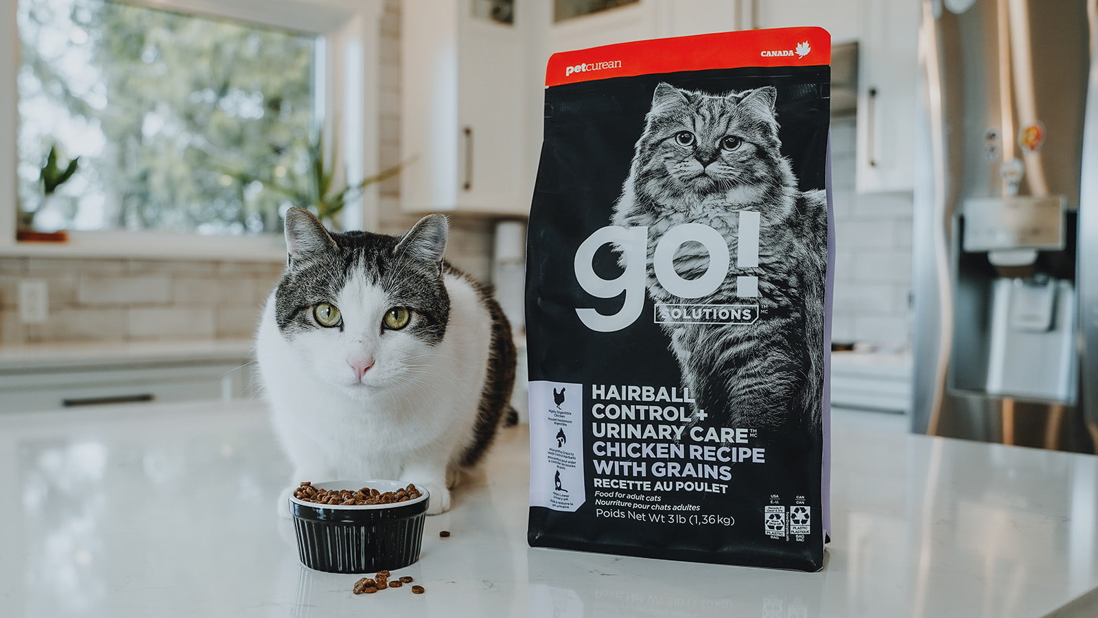 Hairball Control + Urinary Care Chicken Dry Cat Food with Grains | Go ...