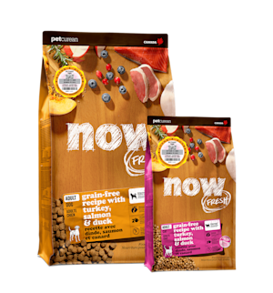 适用于各种体型和年龄阶段的优质宠物食品 | NOW FRESH