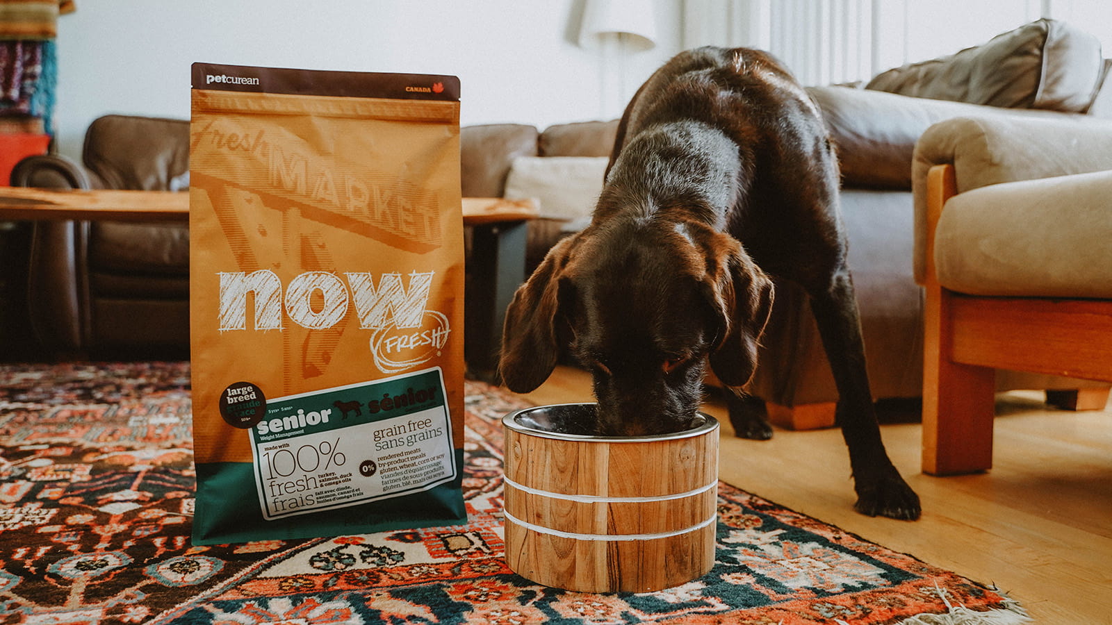 Large Breed Senior Turkey, Salmon & Duck Grain-Free Dog Food | Now Fresh