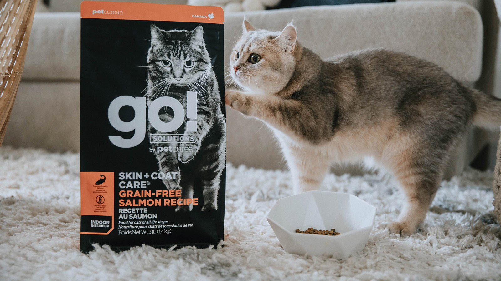 Indoor Cat Food for Weight Maintenance | Go! Solutions
