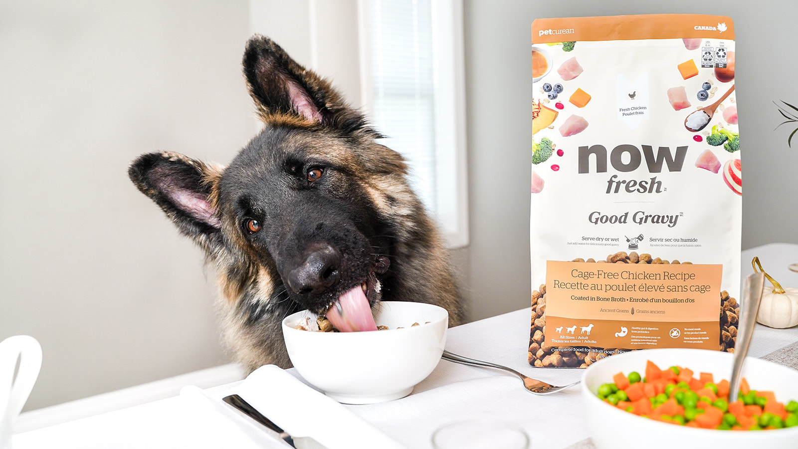 Good Gravy Chicken Coated in Bone Broth for Dogs | Now Fresh