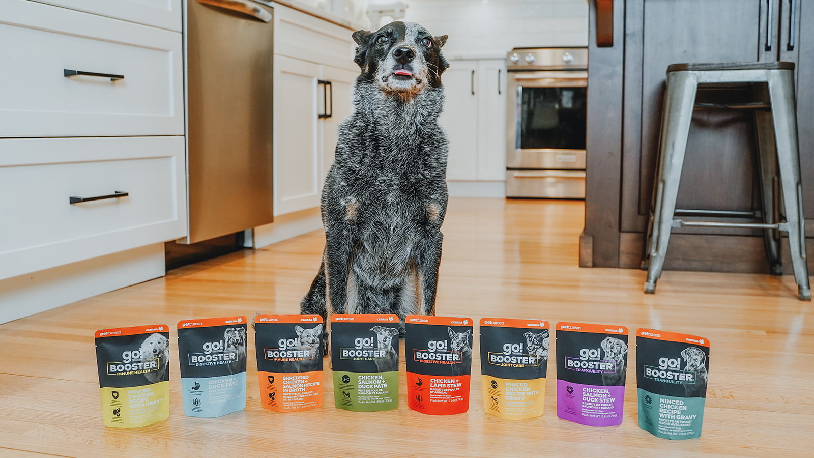 Healthy Dog Food Toppers | Go! Solutions Booster