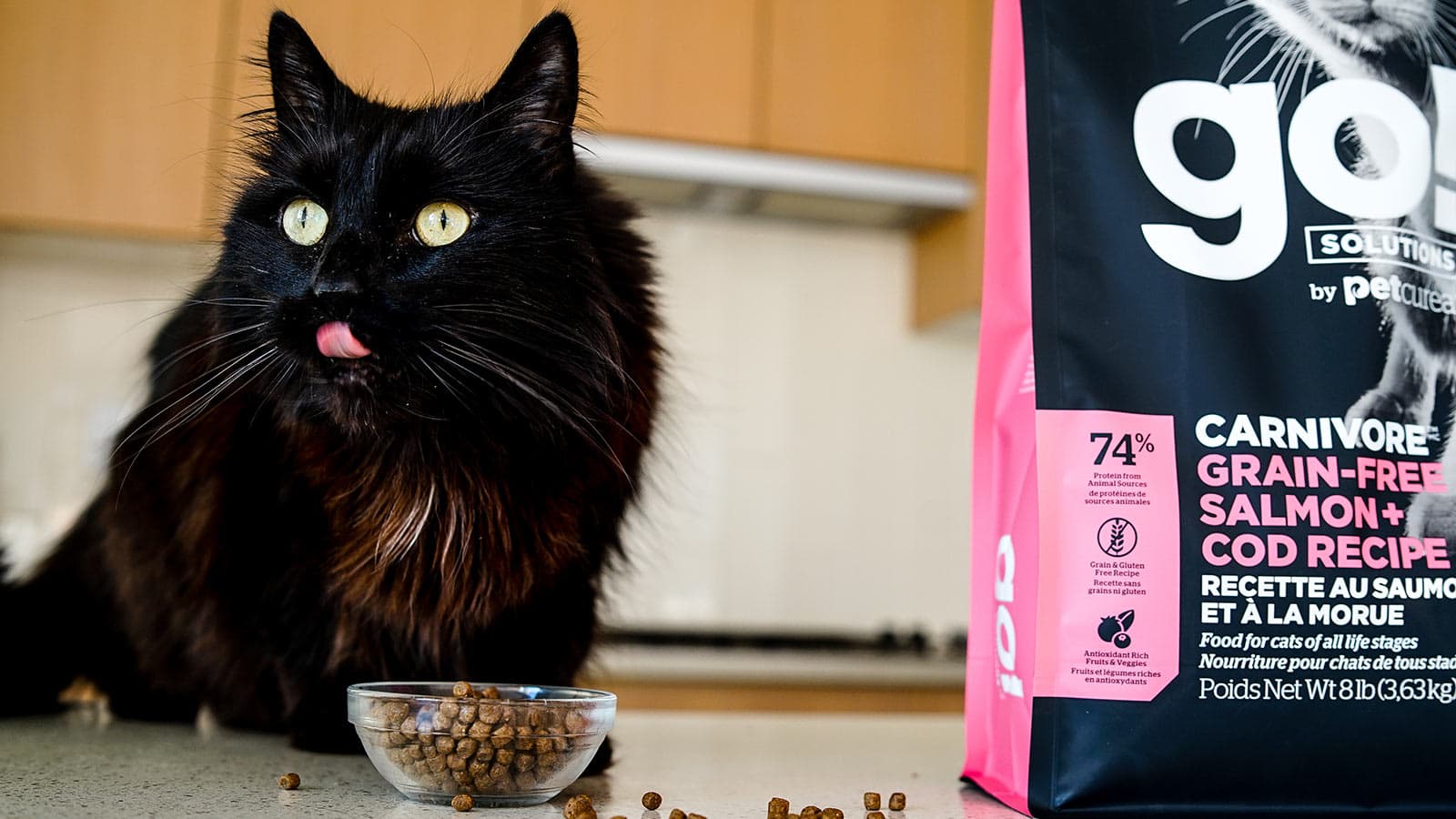 Carnivore Salmon + Cod Grain-Free Dry Cat Food | Go! Solutions