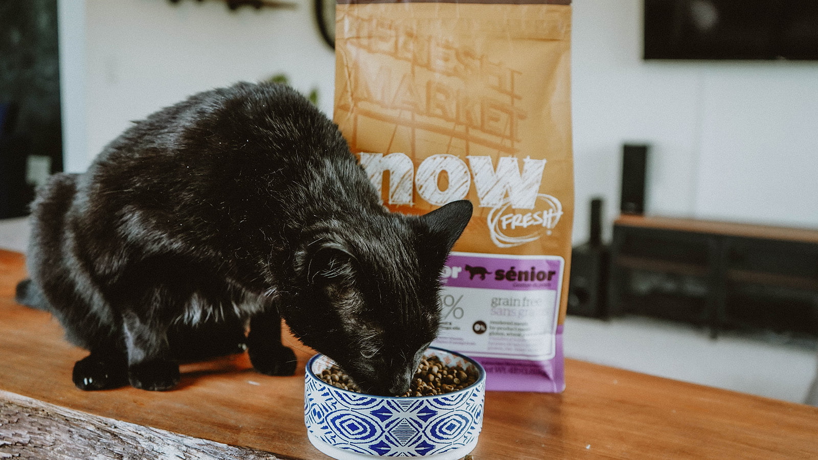 Turkey, Salmon & Duck Grain-Free Senior Cat Food | Now Fresh