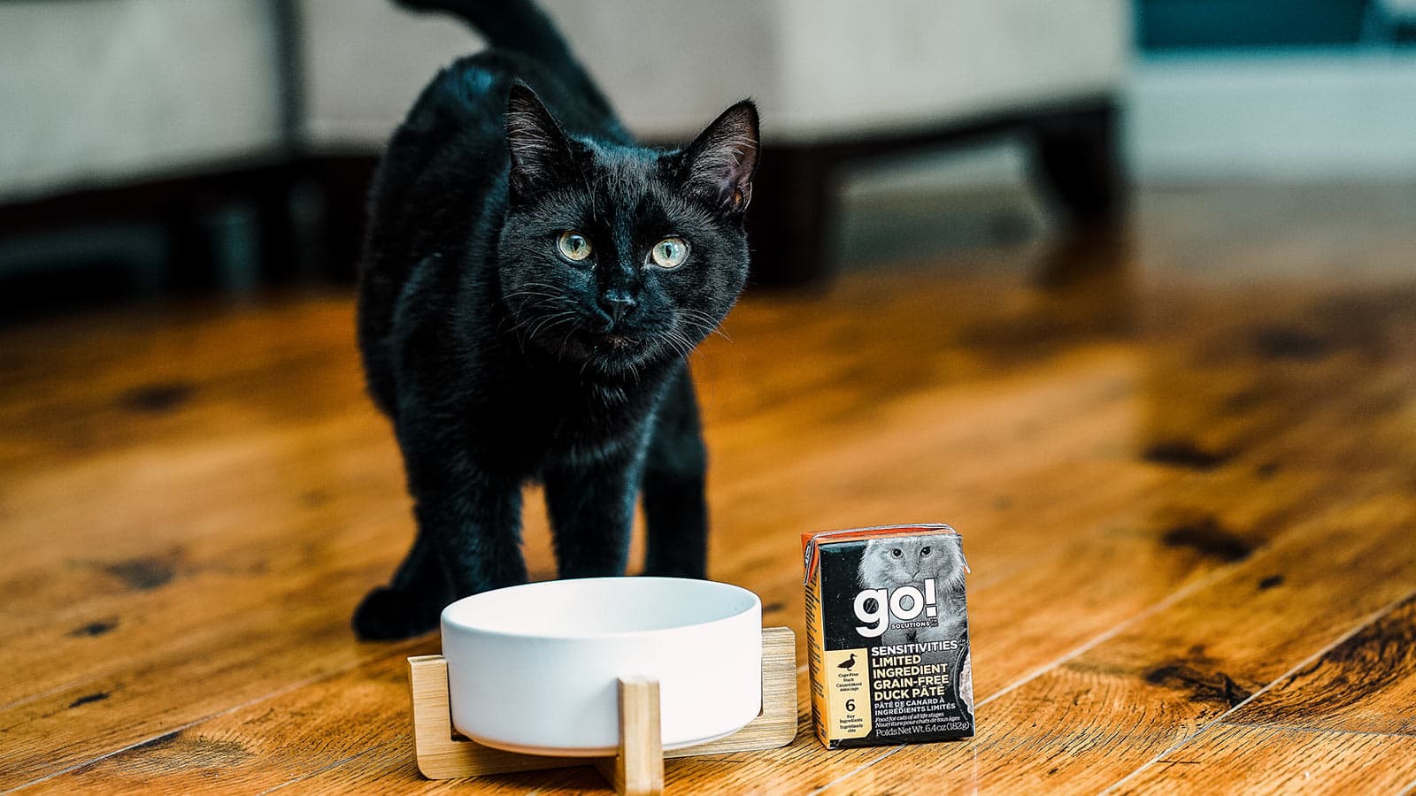 All Pâté Cat Food Products | Go! Solutions