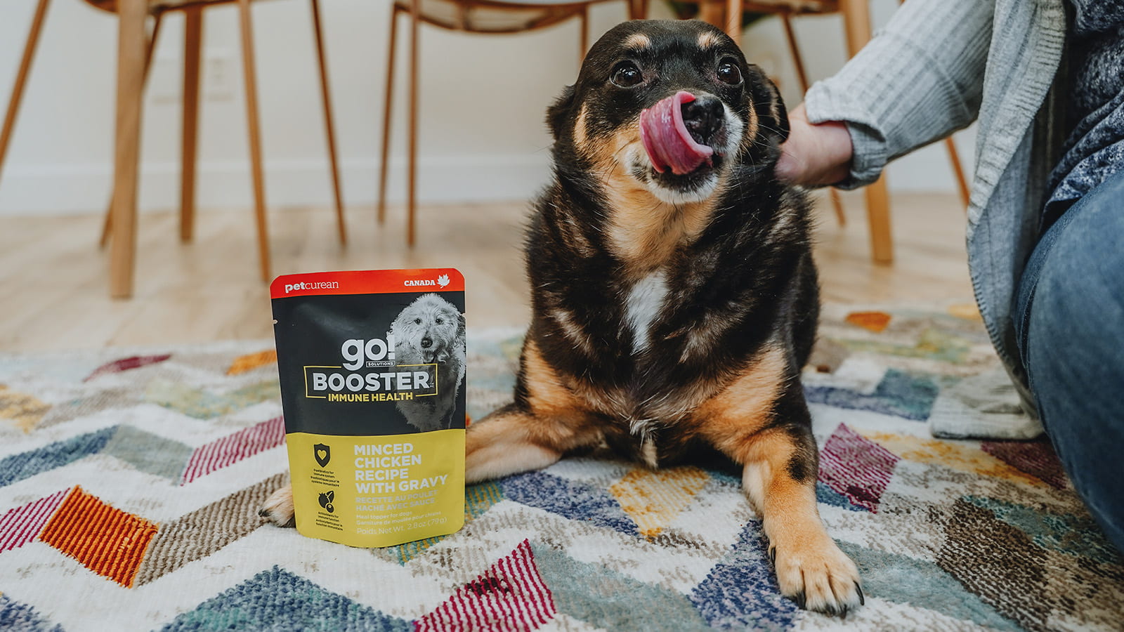 Immune Health Minced Chicken with Gravy Dog Food Booster | Go! Booster
